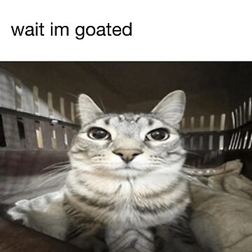 "wait im goated cat" Poster for Sale by shlaboza | Redbubble