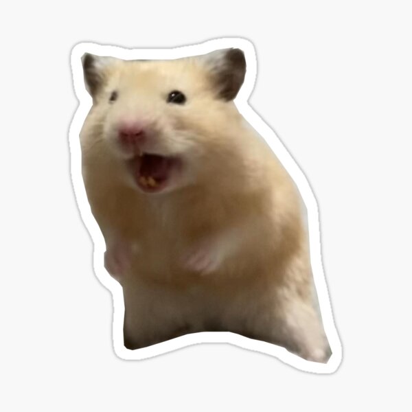 "Hamster meme" Sticker for Sale by vectcd | Redbubble