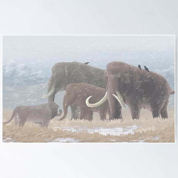 "Snowstorm" Poster for Sale by ddinodan | Redbubble