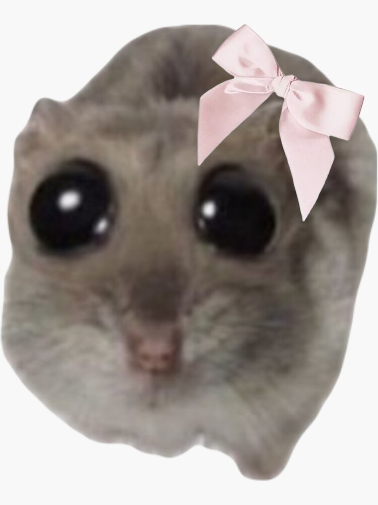 "Coquette big eye hamster meme" Sticker for Sale by scalzone0523 ...