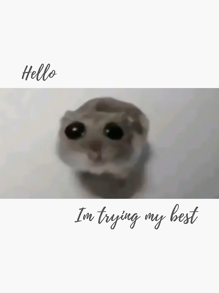 "Sad Hamster Meme" Sticker for Sale by koolkloset | Redbubble