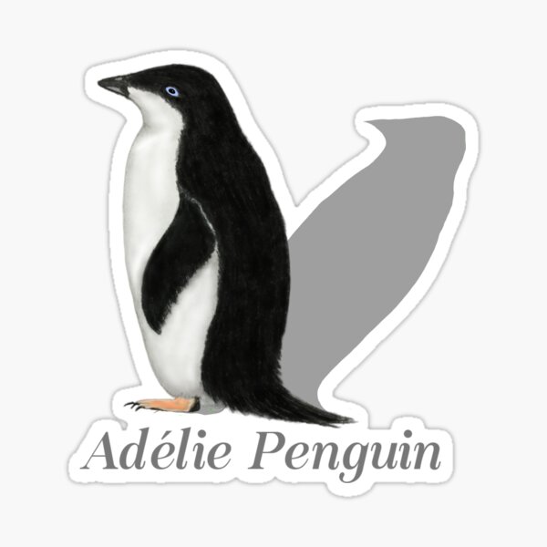 "Adelie Penguin Labeled" Sticker for Sale by ArtAndBliss | Redbubble