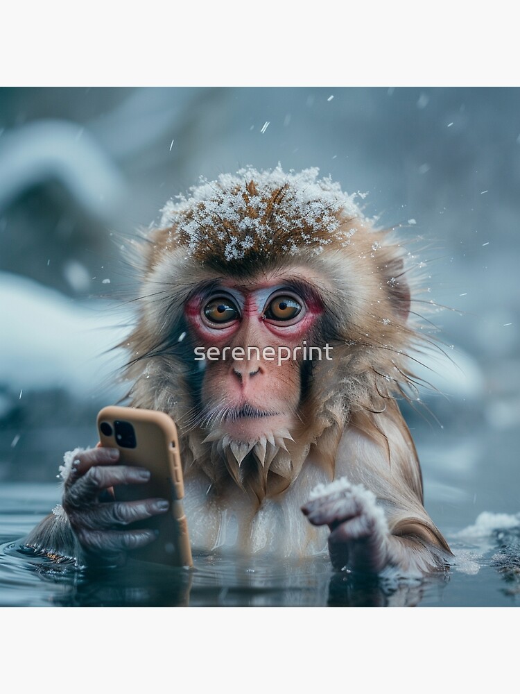 Japanese Snow Monkey Memes Two Cute Funny Snow Monkeys Snow Stock
