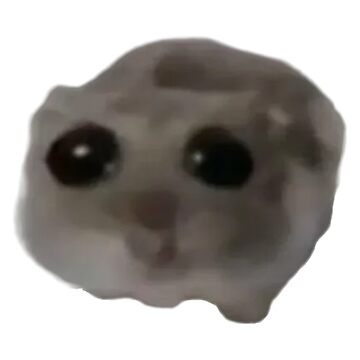 "Sad Hamster Meme" Sticker for Sale by funkyst | Redbubble