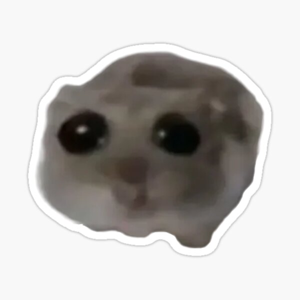"Sad Hamster Meme" Sticker for Sale by funkyst | Redbubble