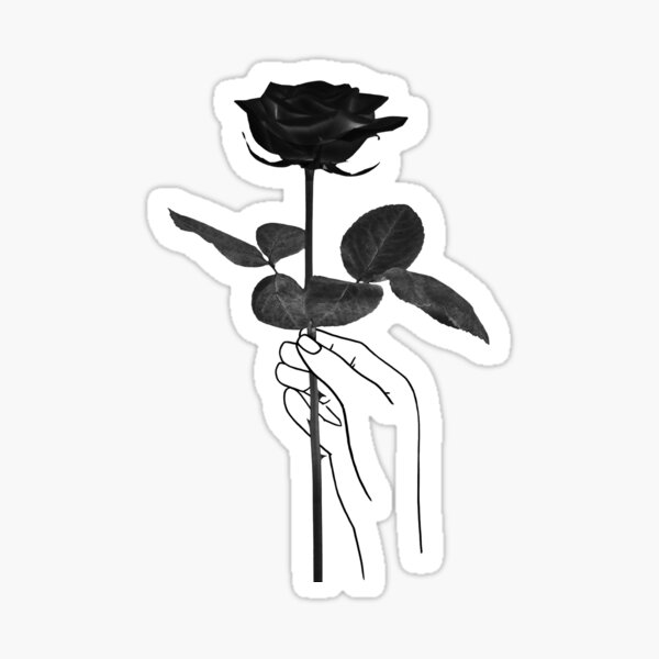 "Black Rose, hand holding rose" Sticker by TheRedFinch | Redbubble