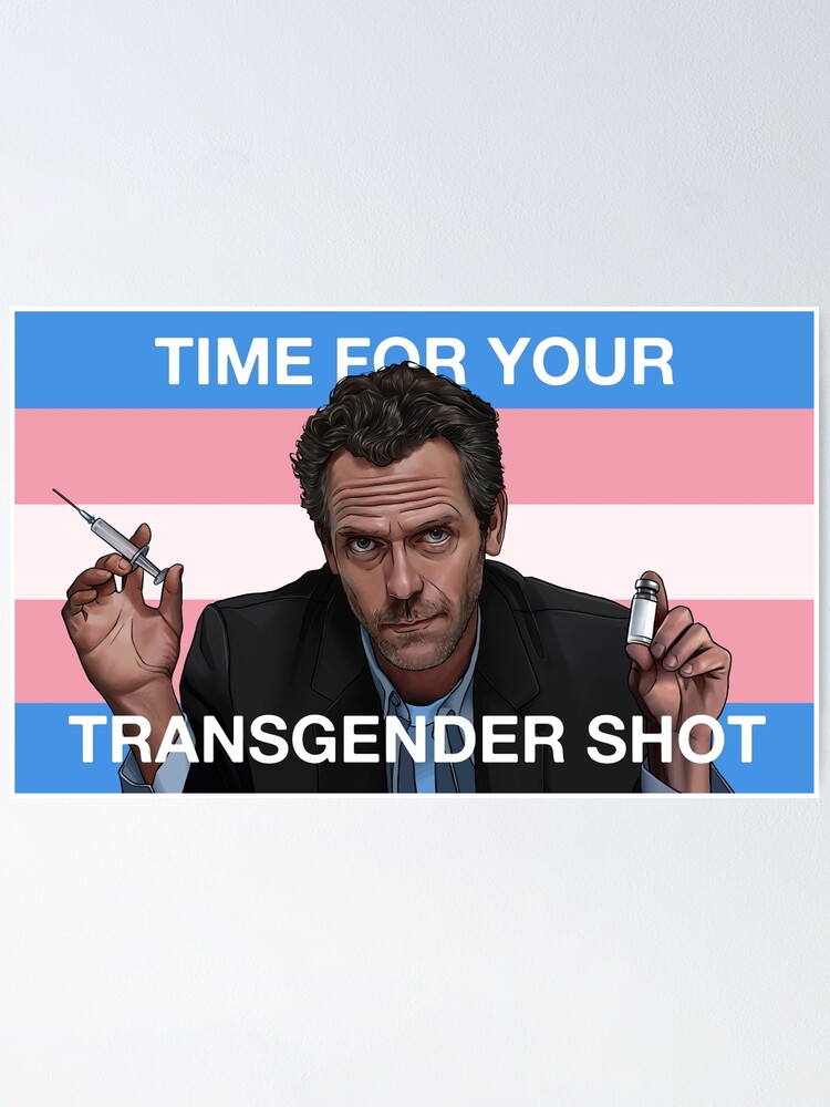 "Dr. House Trans Flag" Poster for Sale by Lee Sirabella | Redbubble