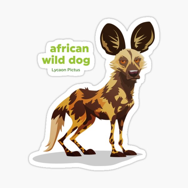 "African Wild Dog (Lycaon Pictus)" Sticker by EstudioToona | Redbubble