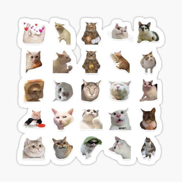 "cat meme" Sticker for Sale by ItGirlTheraphy | Redbubble