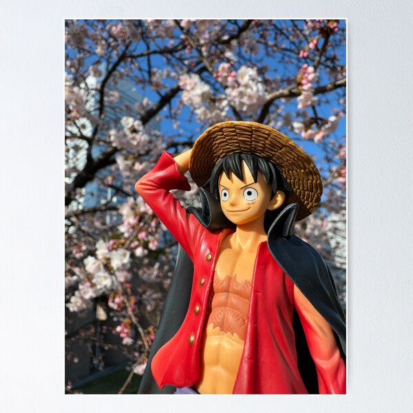 Luffy Cherry Blossom