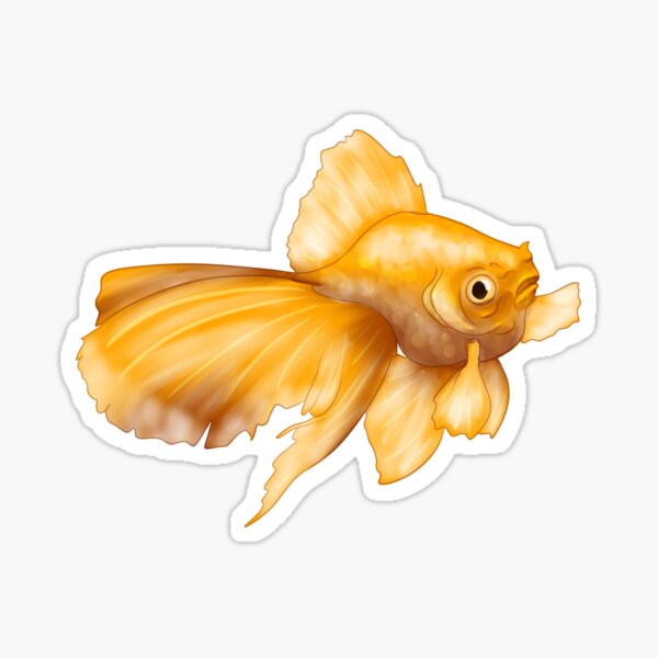 Goldfish Stickers | Redbubble