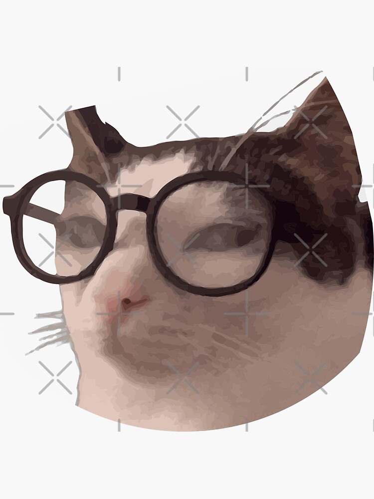 "Crunchy Cat With Glasses Meme" Sticker for Sale by IcePools | Redbubble