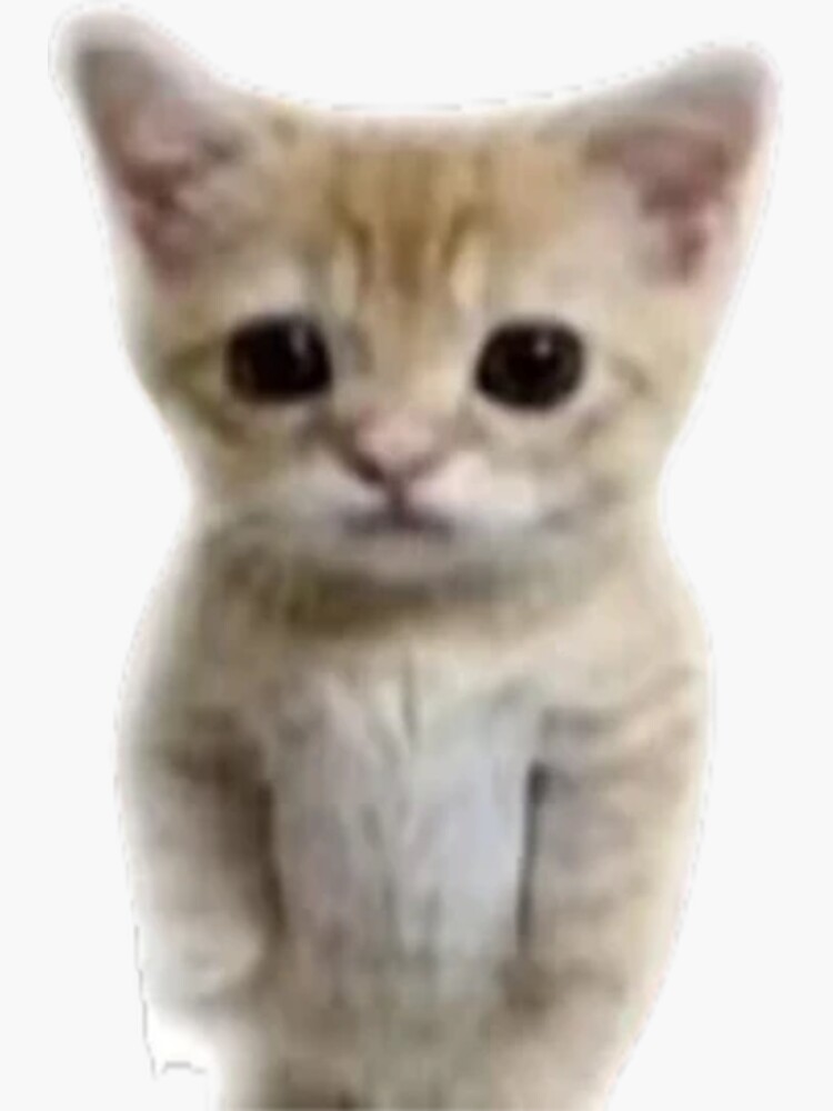 "gato" Sticker for Sale by Seltala-Designs | Redbubble