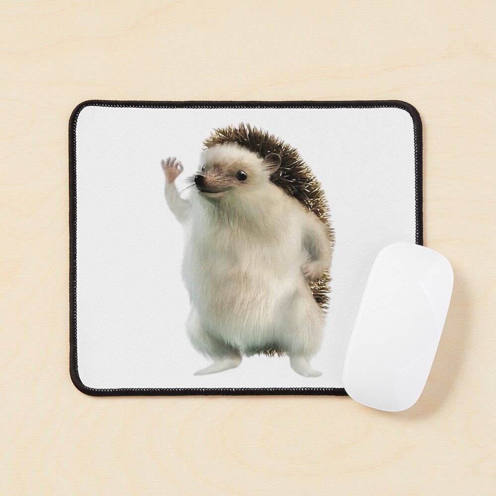 "Rizo the Hedgehog" Sticker for Sale by signiquitatis | Redbubble