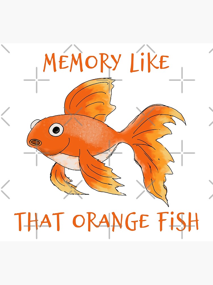 Goldfish Memory Memes