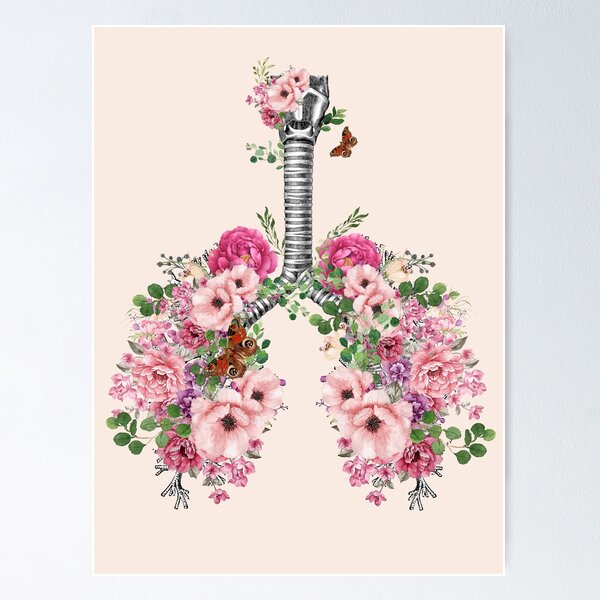 "lungs,bloom pink roses, anatomy, watercolor" Poster for Sale by ...