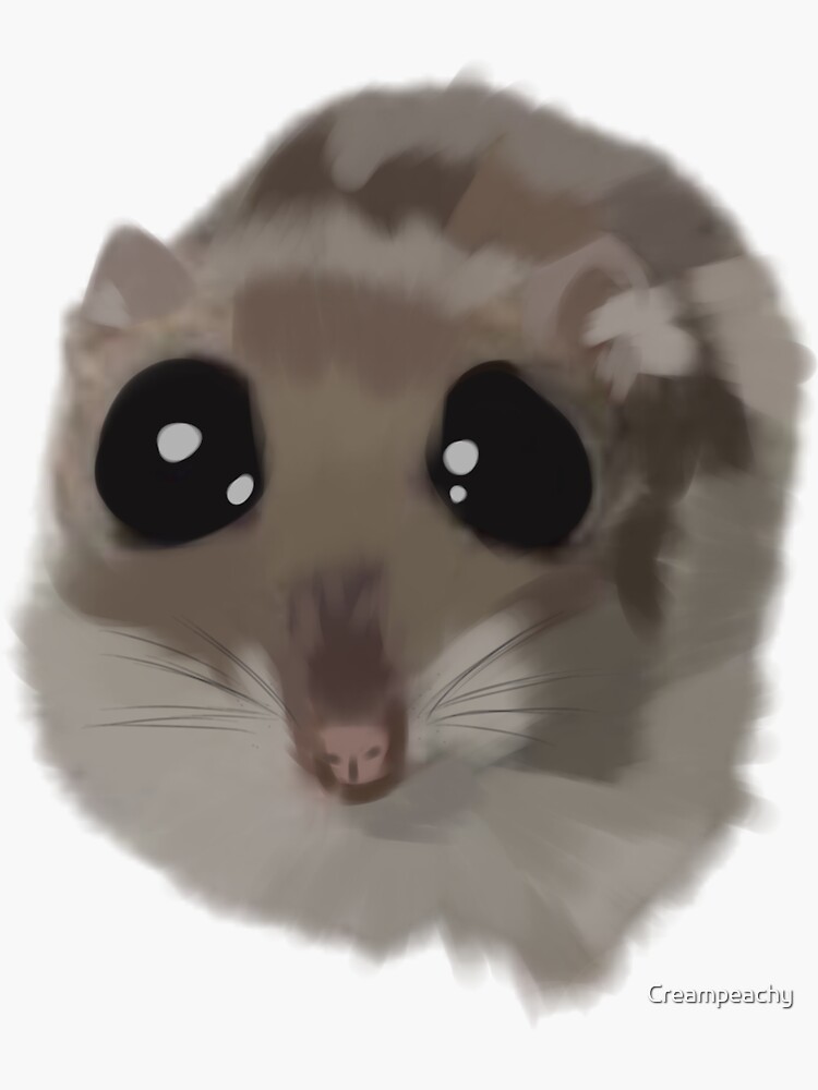 "Sad hamster meme" Sticker for Sale by Creampeachy | Redbubble