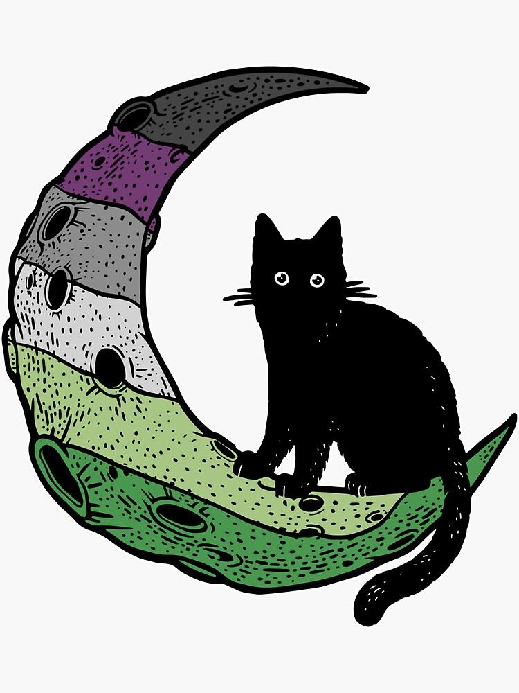 "Aroace Cat Moon LGBT Asexual Aromantic Pride Flag" Sticker for Sale by ...