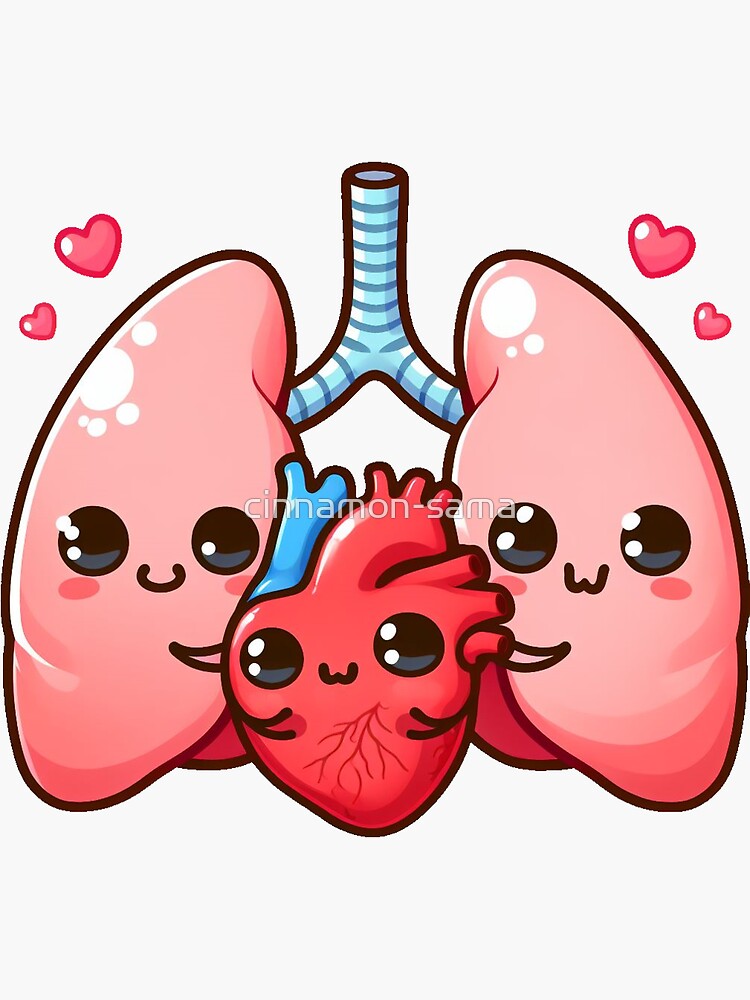 "Cute heart hugging lungs" Sticker for Sale by cinnamon-sama | Redbubble