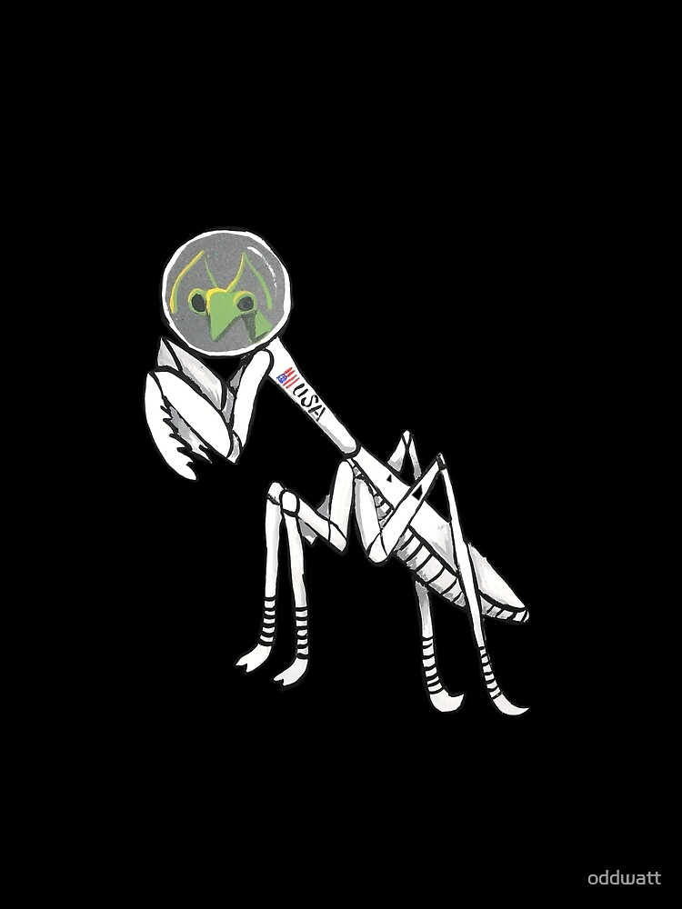 "Astronaut Praying Mantis " Poster by oddwatt | Redbubble