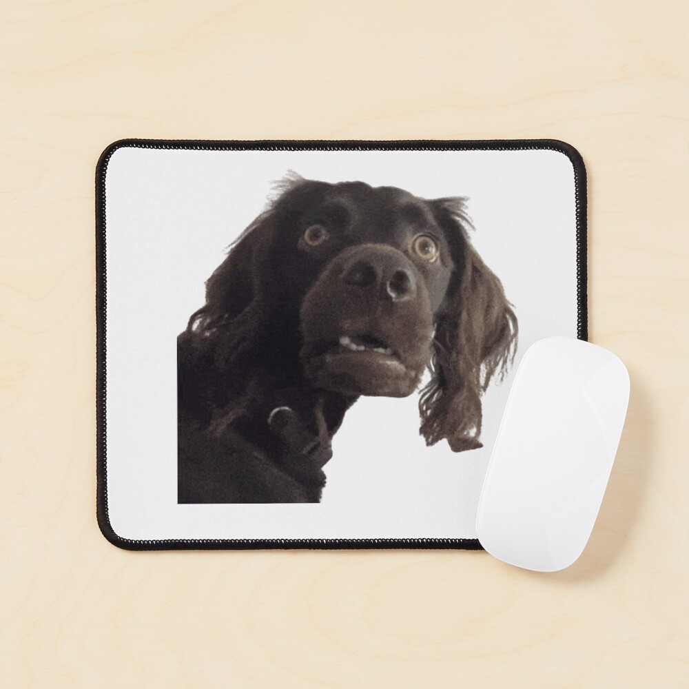 "Confused Dog Meme | Surprised Dog Meme" Art Print for Sale by IcePools ...