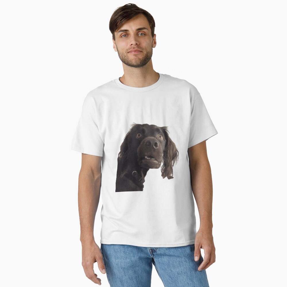 "Confused Dog Meme | Surprised Dog Meme" Sticker for Sale by IcePools ...