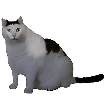 "Huh Cat Meme Side View" Sticker for Sale by IcePools | Redbubble