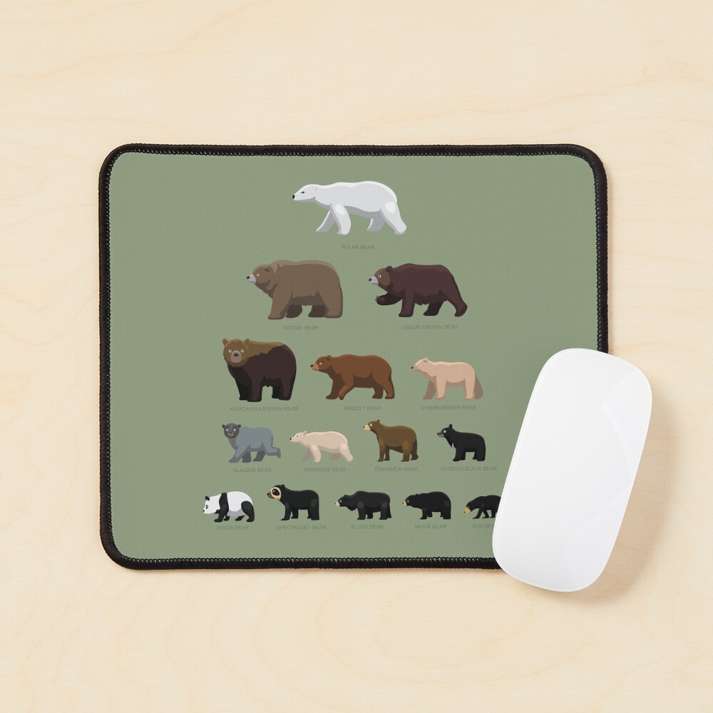 "Bear Size Comparison Species Side Walking" Poster for Sale by ...