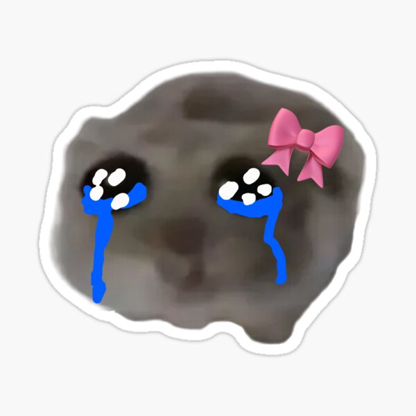 "Sad Hamster Meme" Sticker for Sale by funkyst | Redbubble