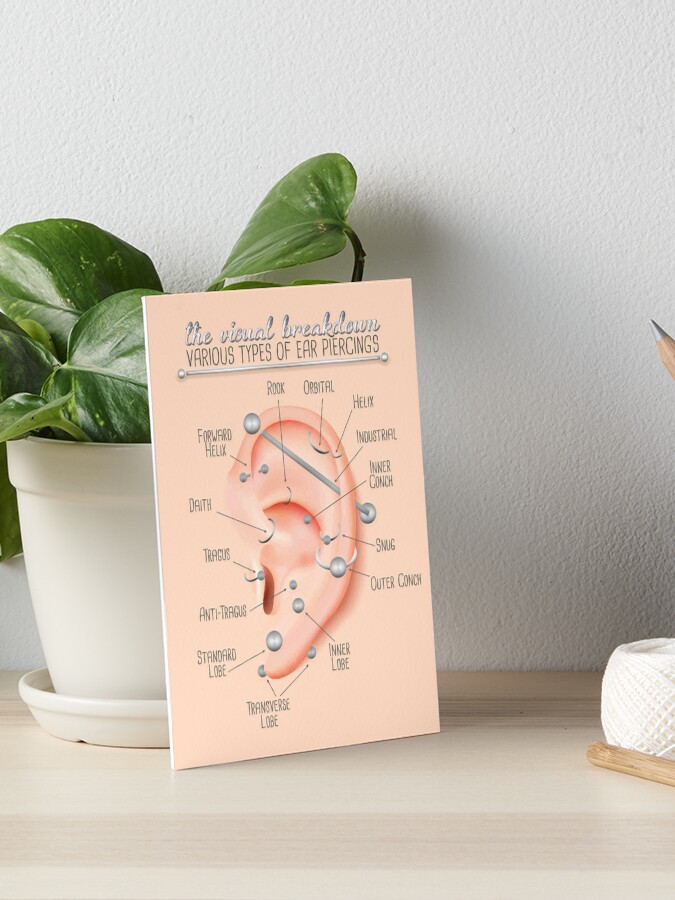 "Ear Piercing Chart Infographic" Art Board Print for Sale by Jarrod44 ...