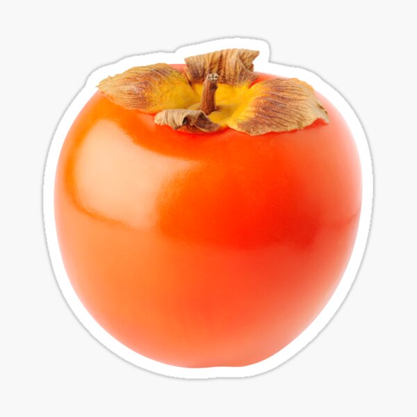 "Persimmon" Sticker for Sale by 6hands | Redbubble