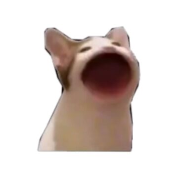 "Open Mouth Cat Meme" Sticker for Sale by scalzone0523 | Redbubble