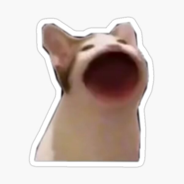 "Open Mouth Cat Meme" Sticker for Sale by scalzone0523 | Redbubble