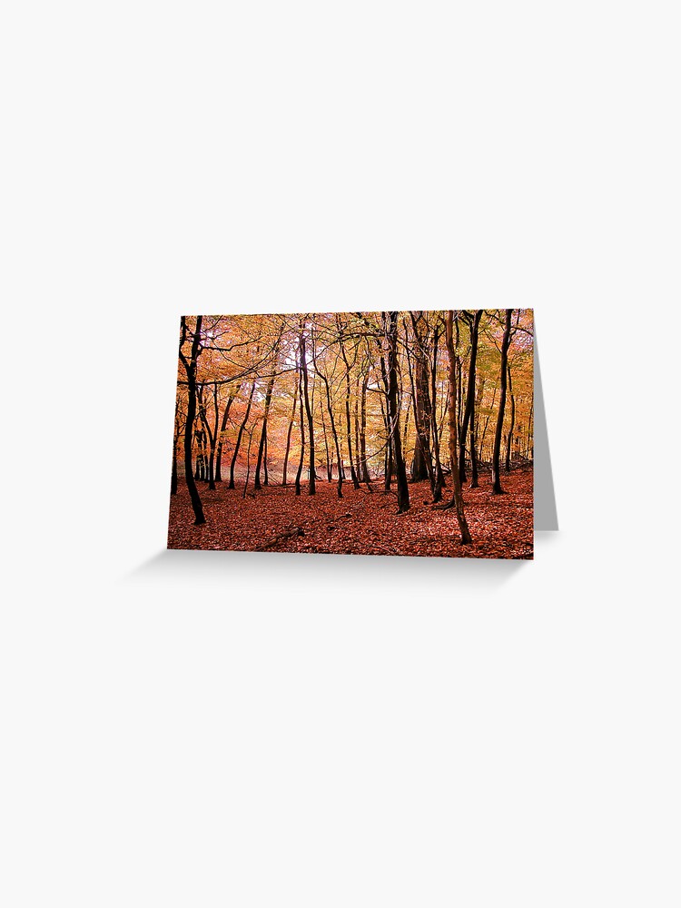"Frithsden Beeches, Ashridge." Greeting Card for Sale by Geoff Spivey ...