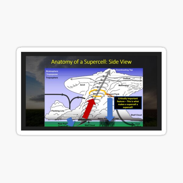 Supercell Merch & Gifts for Sale | Redbubble