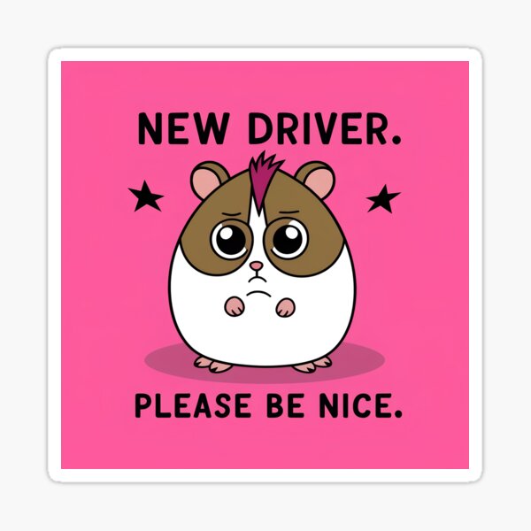 "New driver please be nice" Sticker for Sale by 90's Misaki | Redbubble