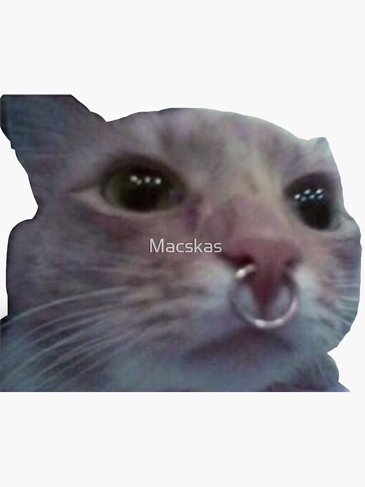 Emo Cat Memes