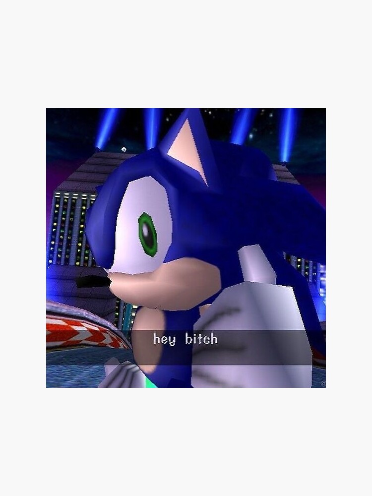 "hey bitch Sonic the Hedgehog Meme" Sticker for Sale by neogirl | Redbubble