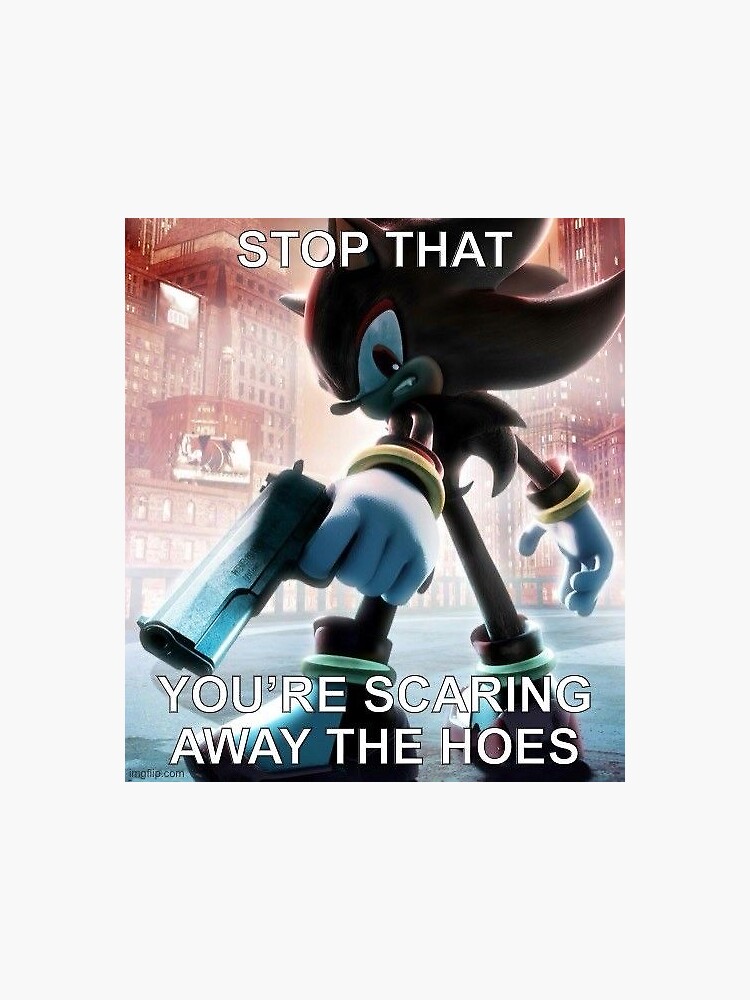 "Stop That You're Scaring Away the Hoes Shadow the Hedgehog Meme ...