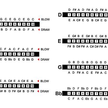 "Harmonica notes position chart" Sticker for Sale by dodgerock | Redbubble