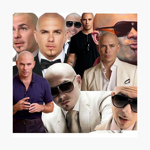 Fotodrucke: Pitbull Rapper | Redbubble