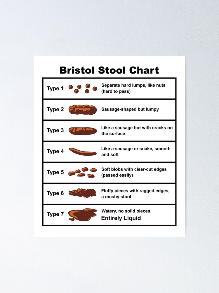 "Bristol Stool Chart" Poster for Sale by lonaarts8 | Redbubble