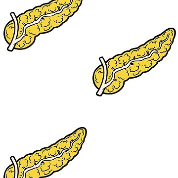 "Pancreas Stickers Set" Sticker for Sale by AYOUB-SPACE | Redbubble