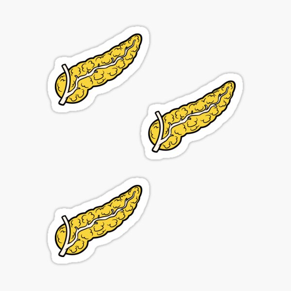 "Pancreas Stickers Set" Sticker for Sale by AYOUB-SPACE | Redbubble