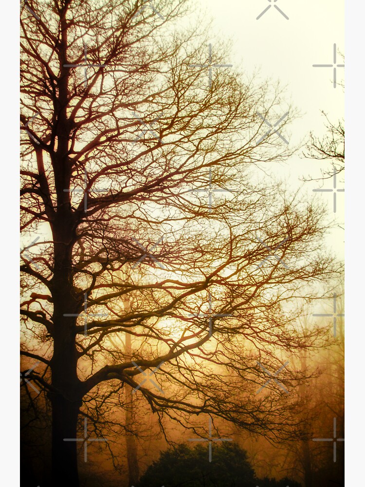 "Golden Oak Tree Skeleton" Sticker by heidiannemorris | Redbubble