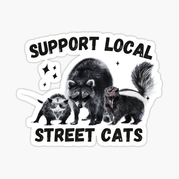 "Support Your Local Street Cats Graphic Vintage Raccoon " Sticker for ...