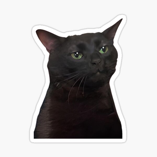 "Black Cat Meme" Sticker for Sale by Kaijju | Redbubble