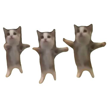 Be Happy Cat Meme