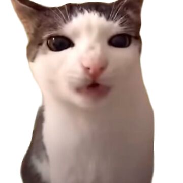 "cat chewing meme" Sticker for Sale by misscouchpotato | Redbubble