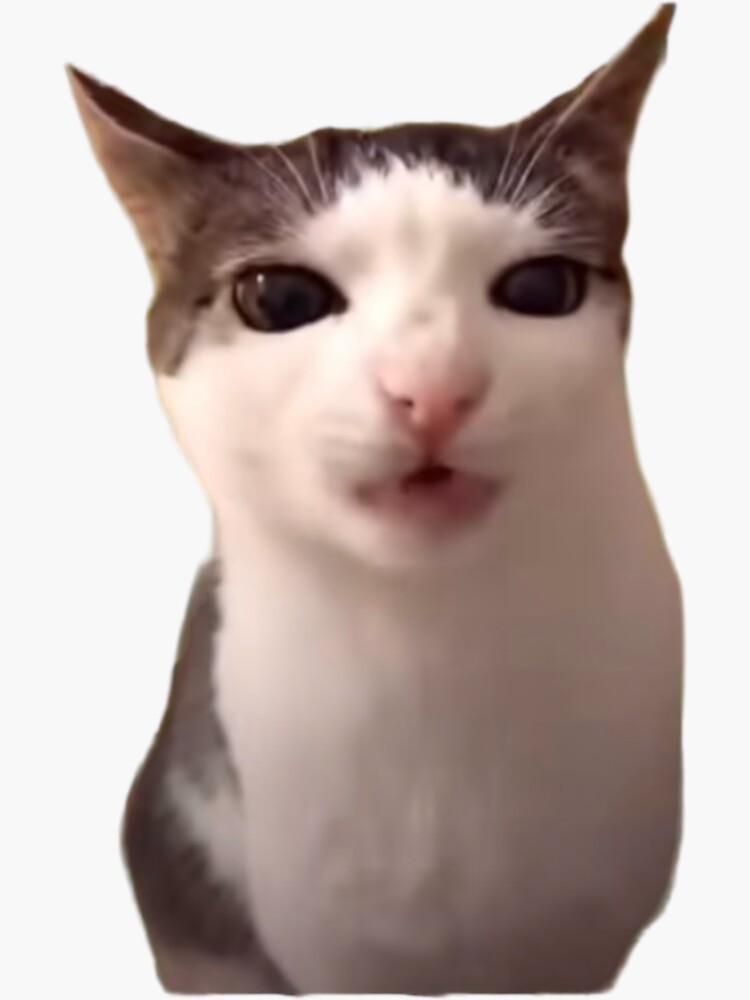"cat chewing meme" Sticker for Sale by misscouchpotato | Redbubble